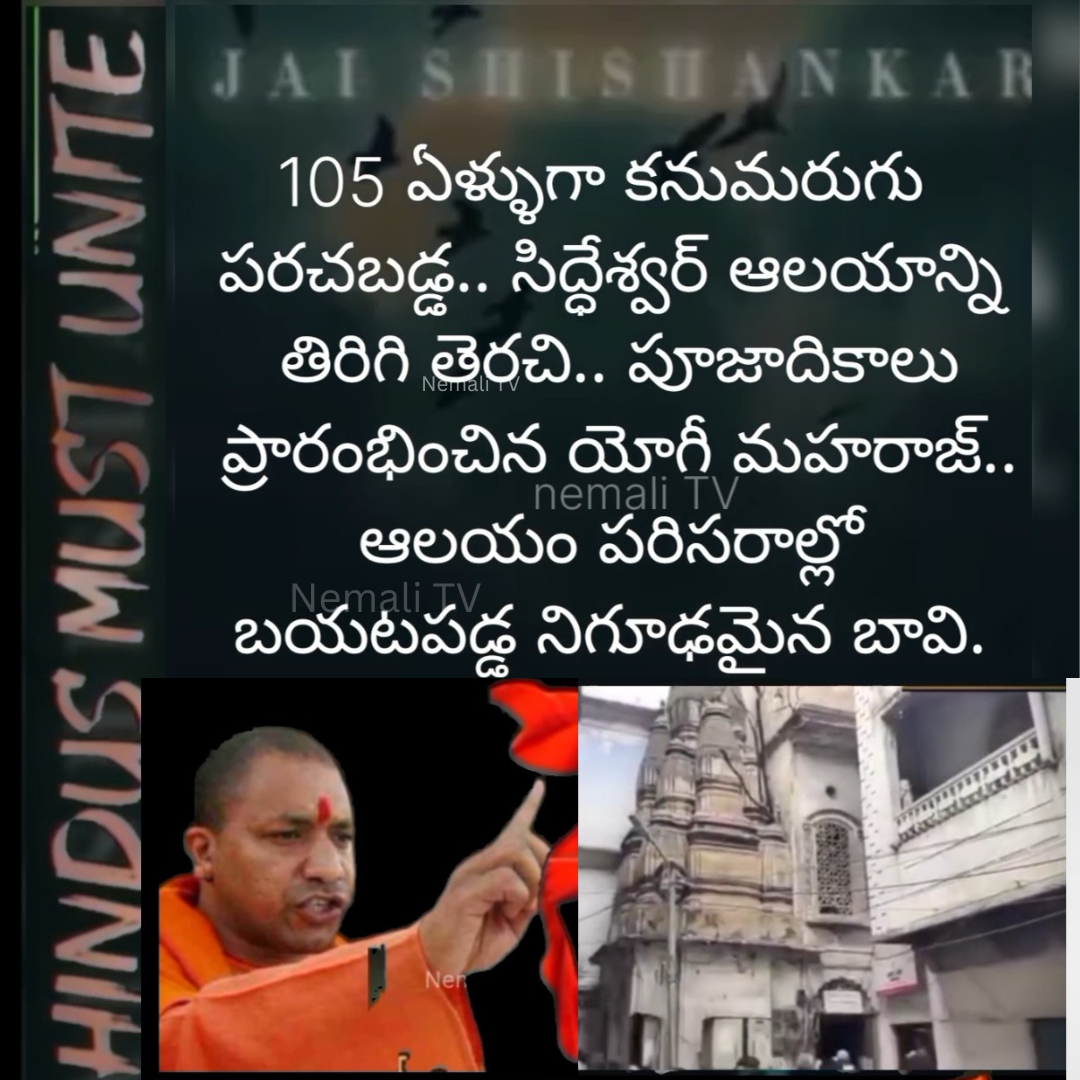 Post from NEMALI TV
