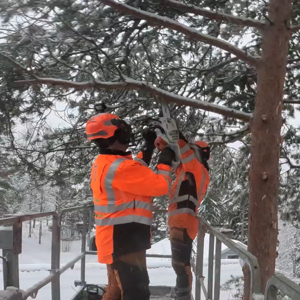 Post from Finnish Lumberjack