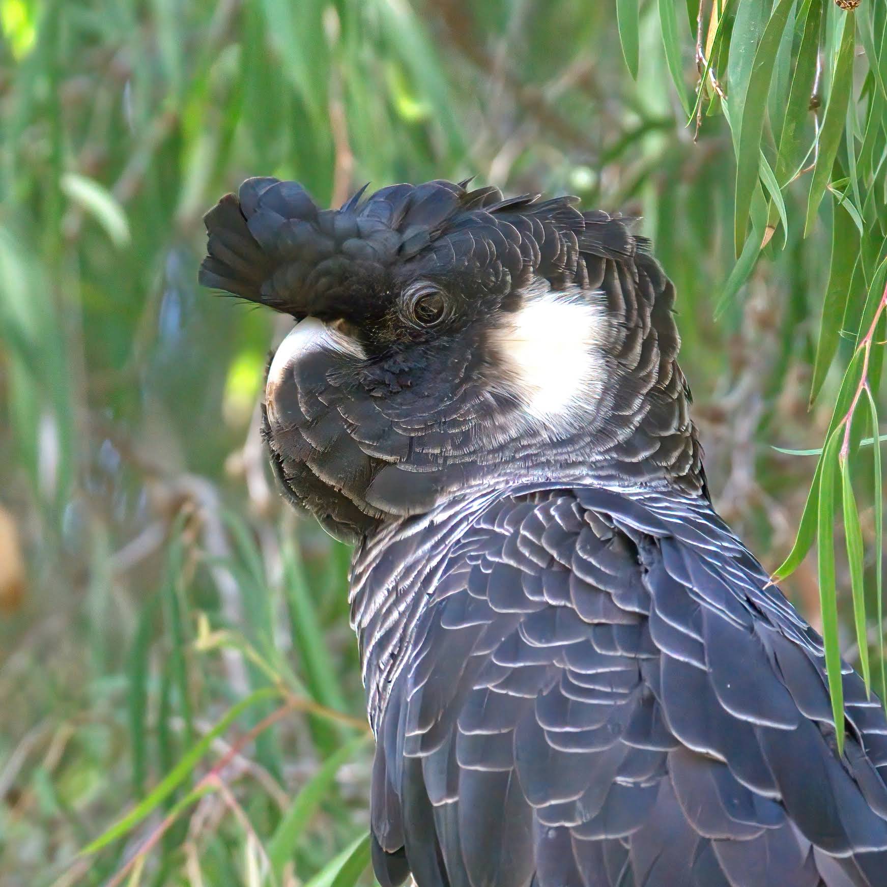 Post from Nature Photography Challenge