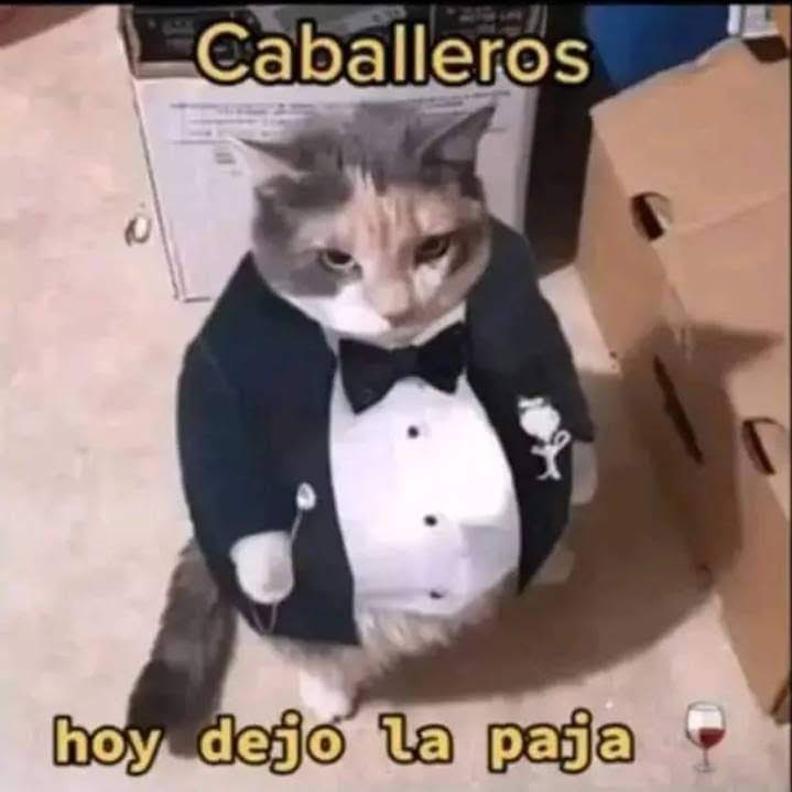 Post from MR.Senpai