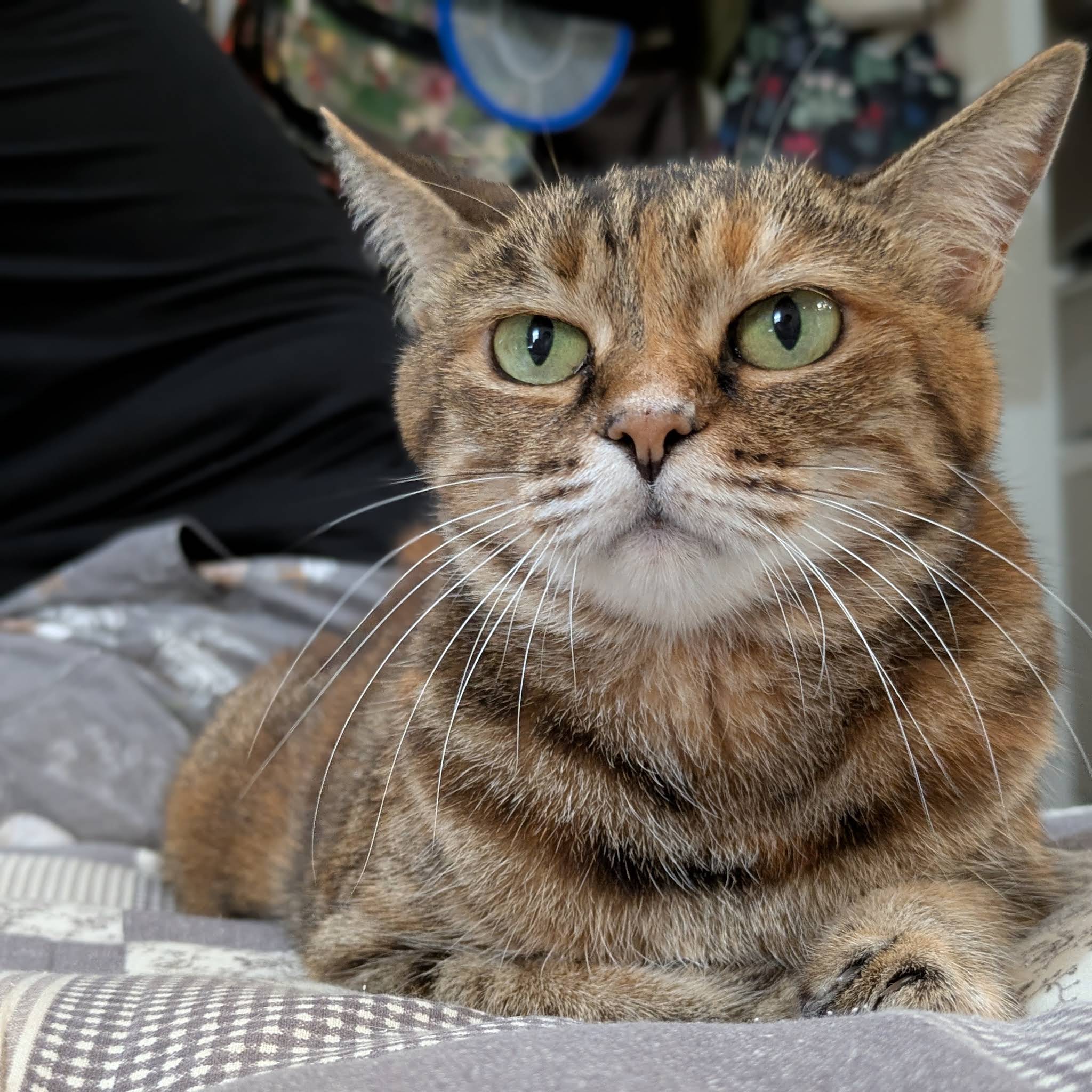 Post from cinnamon mon