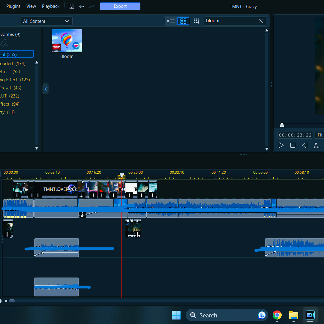 Post from T M N T L O V E R