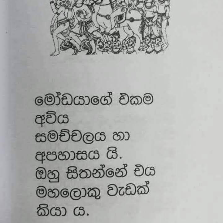 Post from Animals Lanthaya