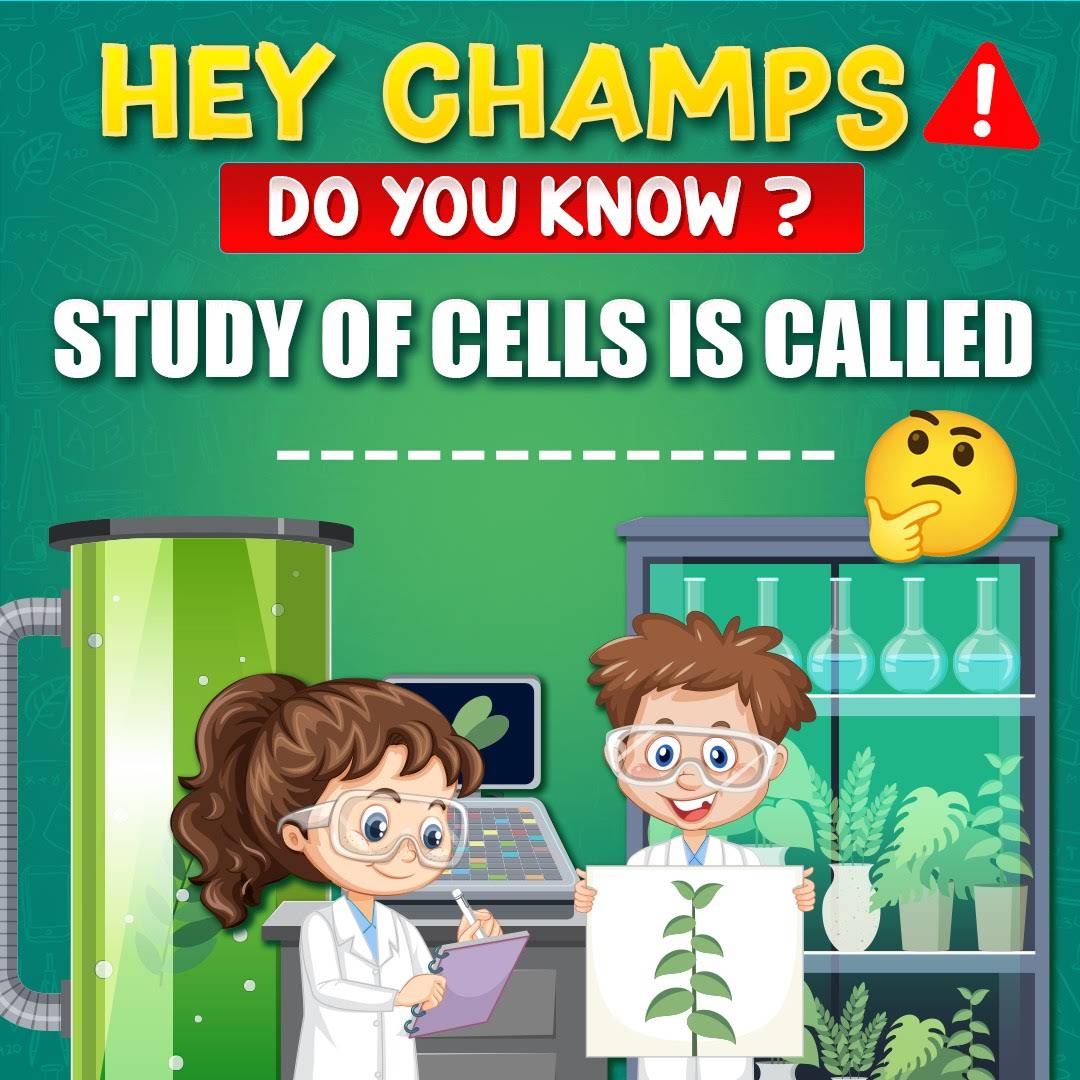 Post from PW Little Champs 6th, 7th & 8th