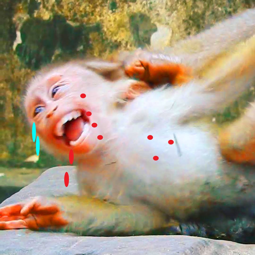 Post from Newly Monkey Tube