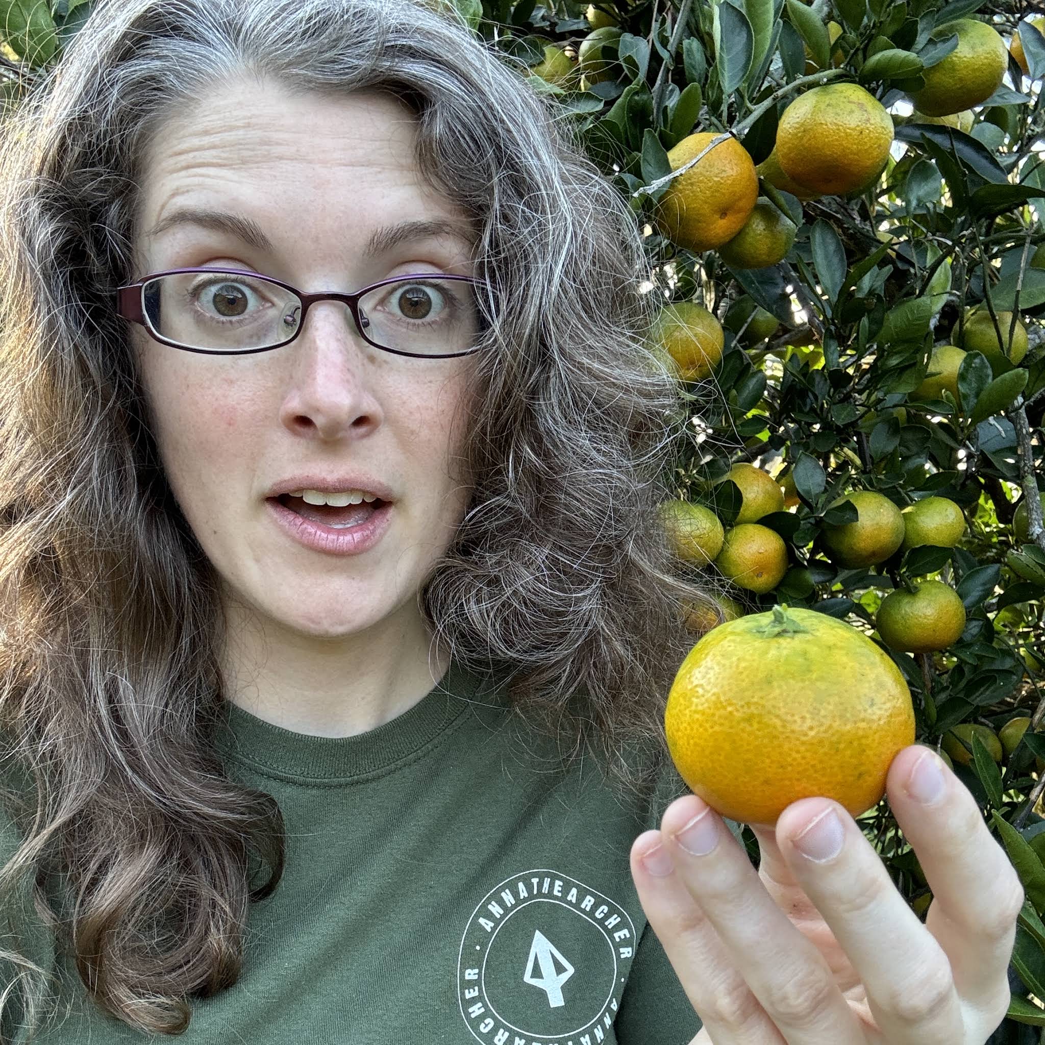 Post from Anna The Archer