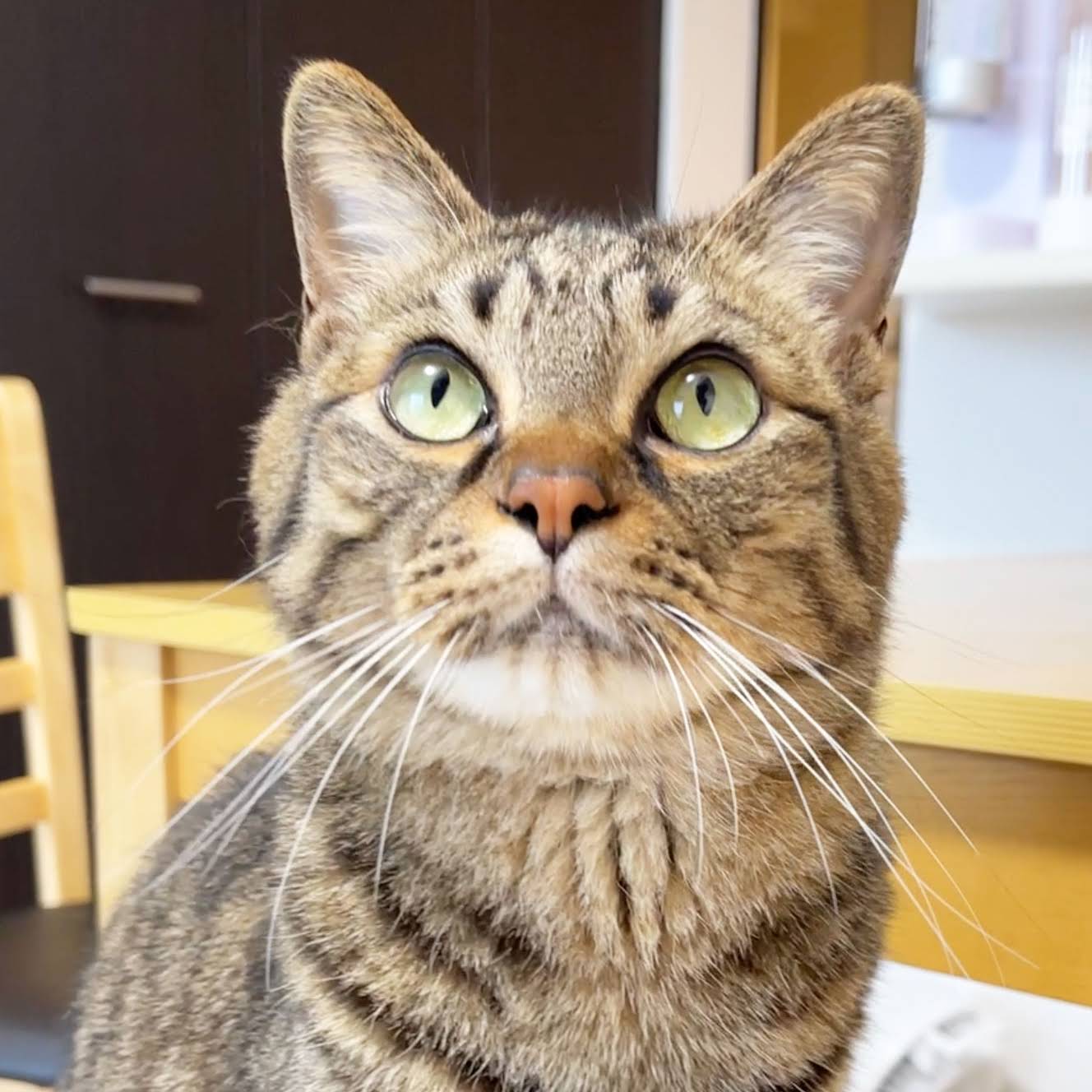 Post from Samoji & Hotane 's Daily Life