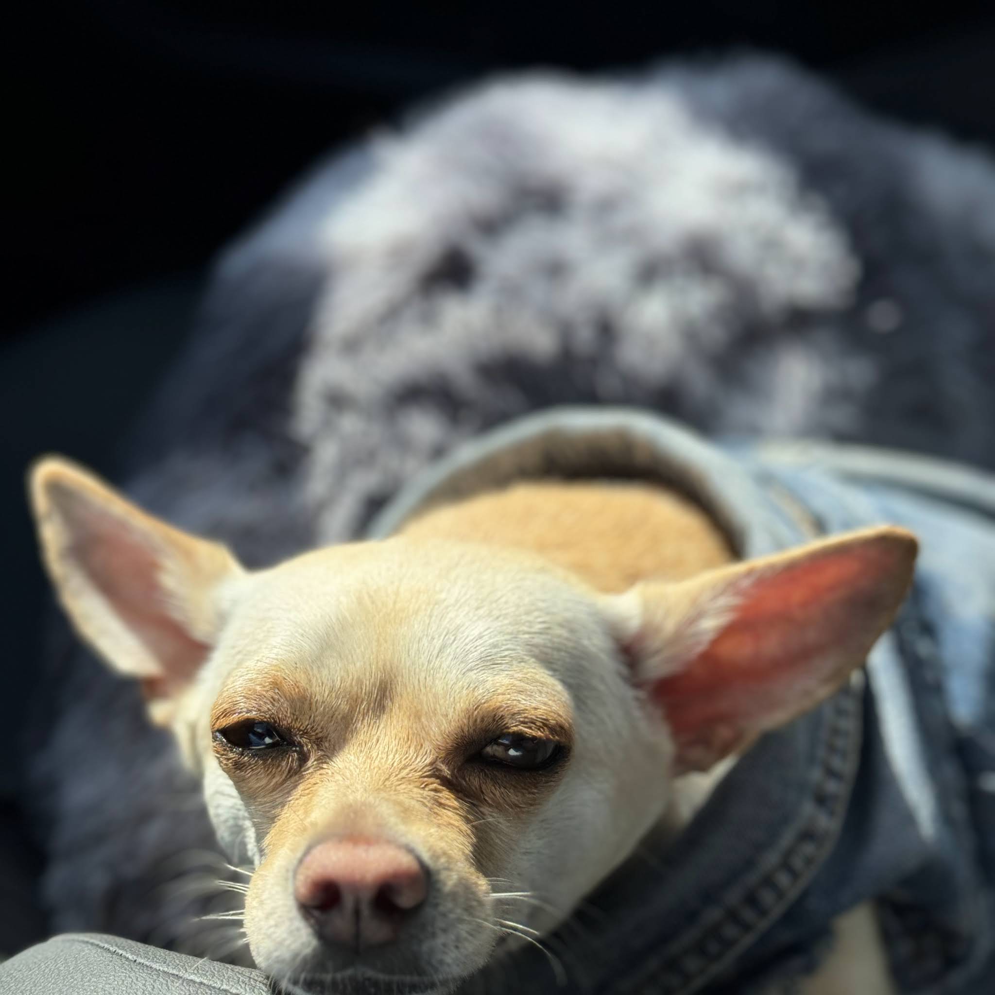 Post from Mr. Hey Now & EJ