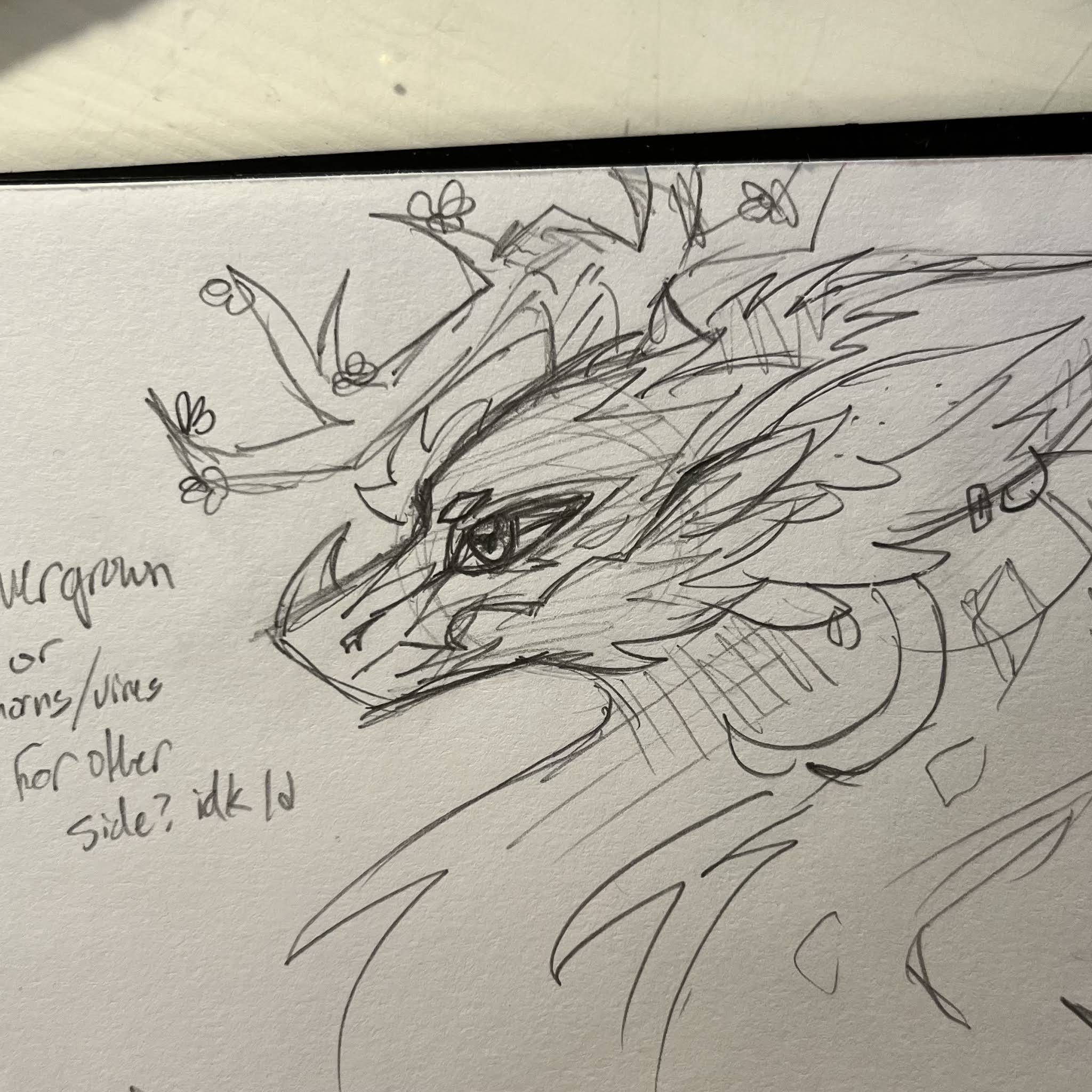 Post from Sunset Sara's Dragons