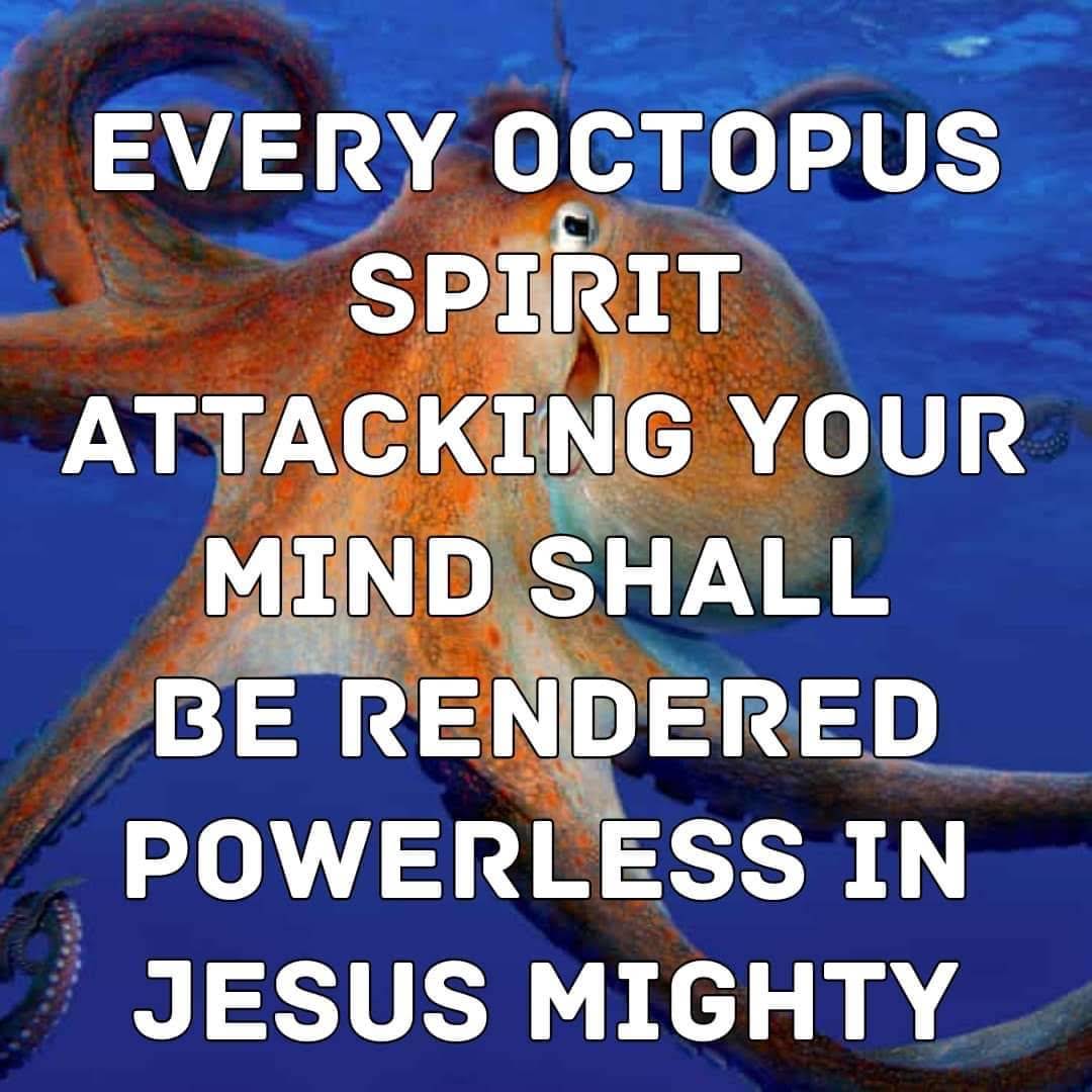 Post from Robert Clancy