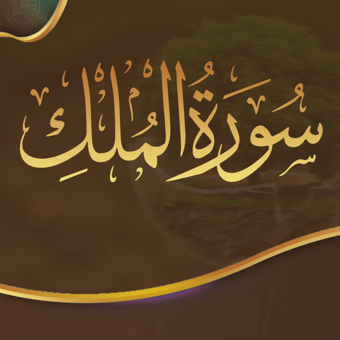 Post from رضا سلمان Reda Salman