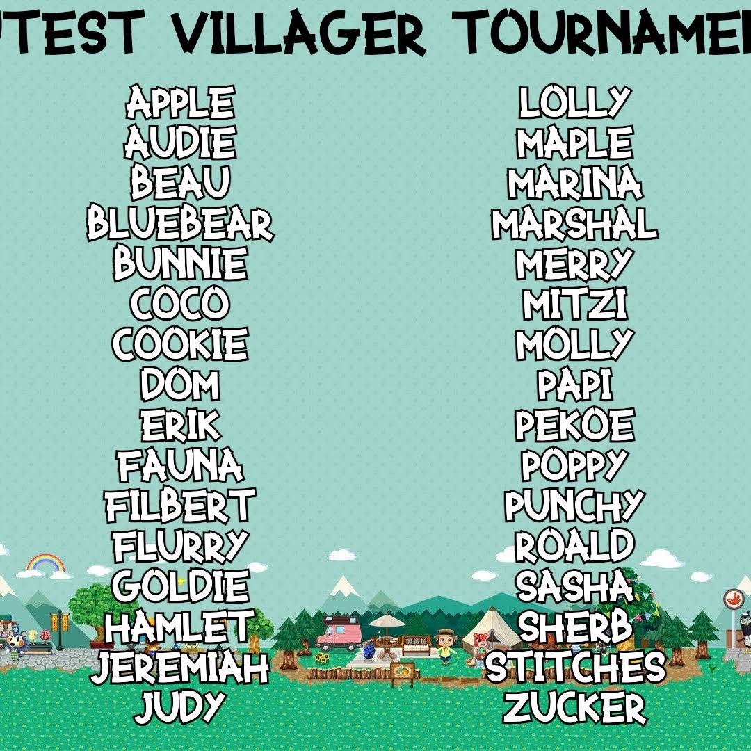 Post from Papi the okapi