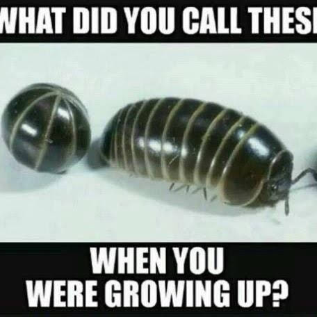 Post from No One Any Moore