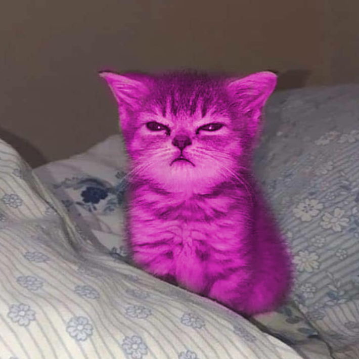 Post from Voxicat