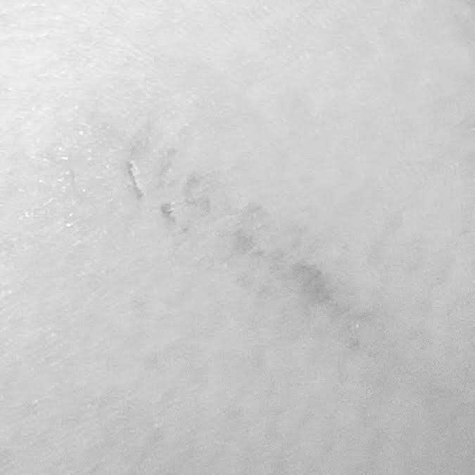 Post from Listen Ch.【ARP】