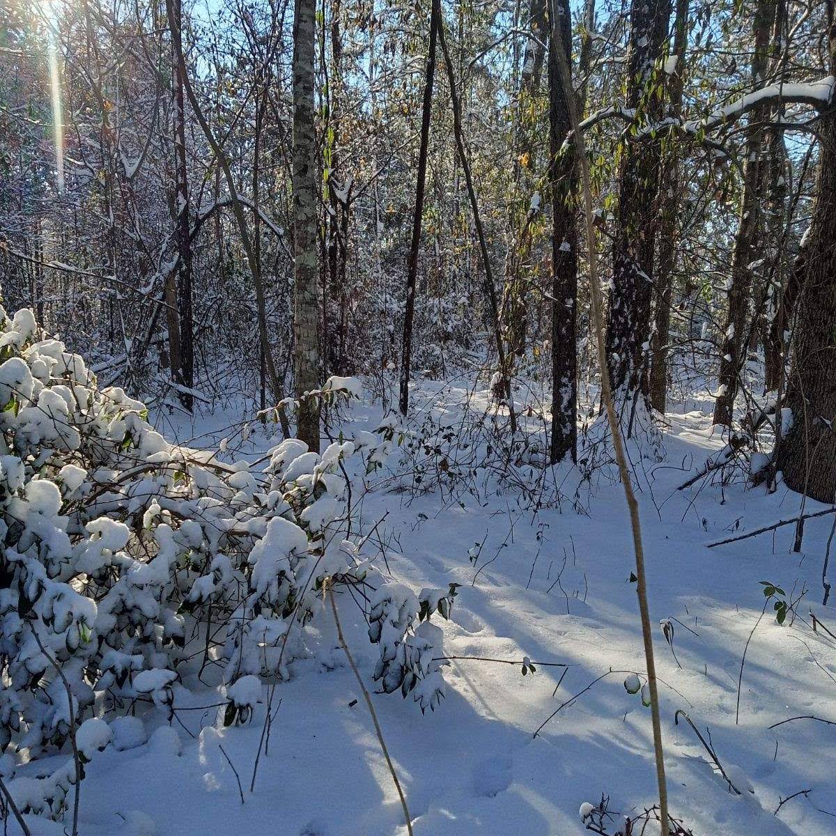 Post from Tuesdays With JOY🌹⚓️