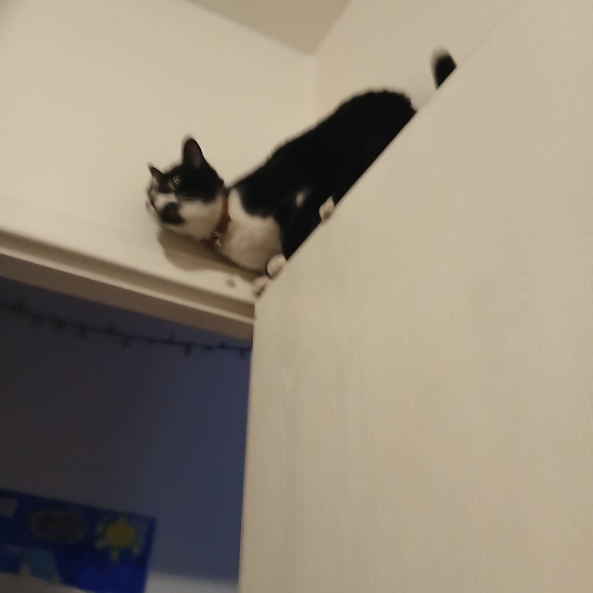 Post from Doober