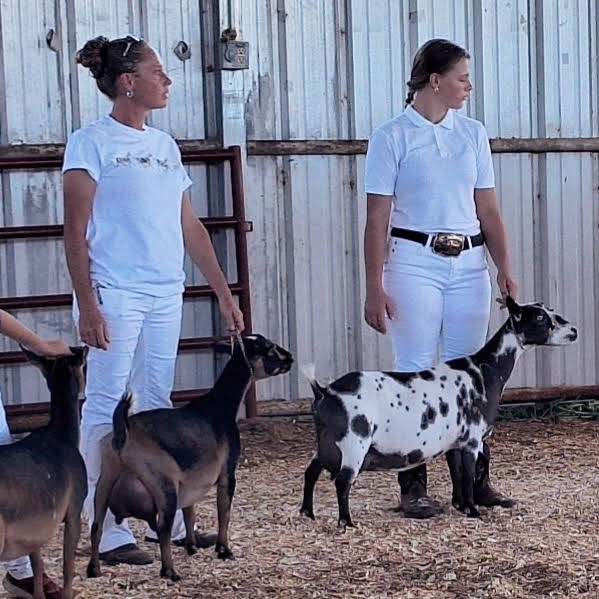 Post from Blue Cactus Dairy Goats