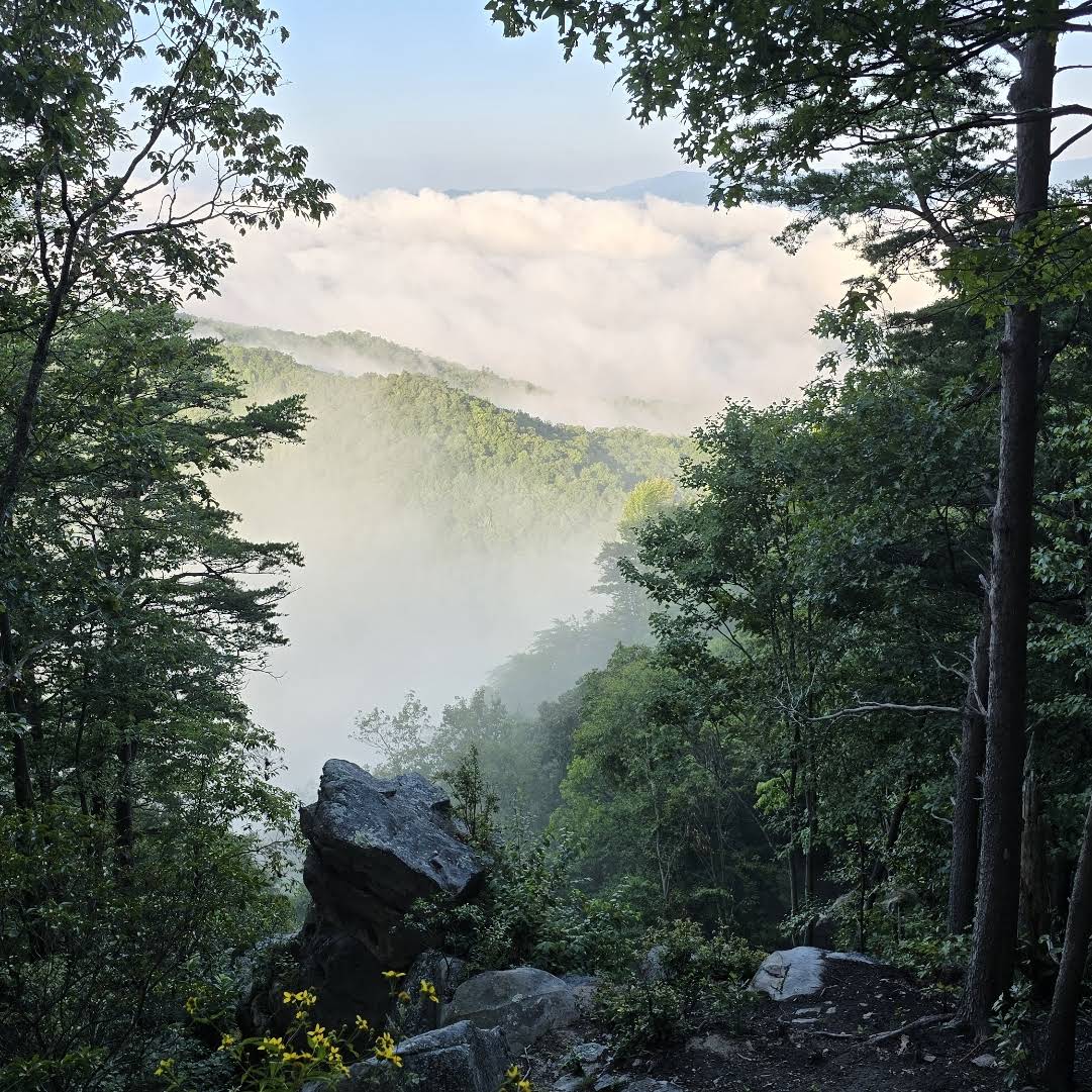 Post from History Gone Wilder | Have History Will Travel