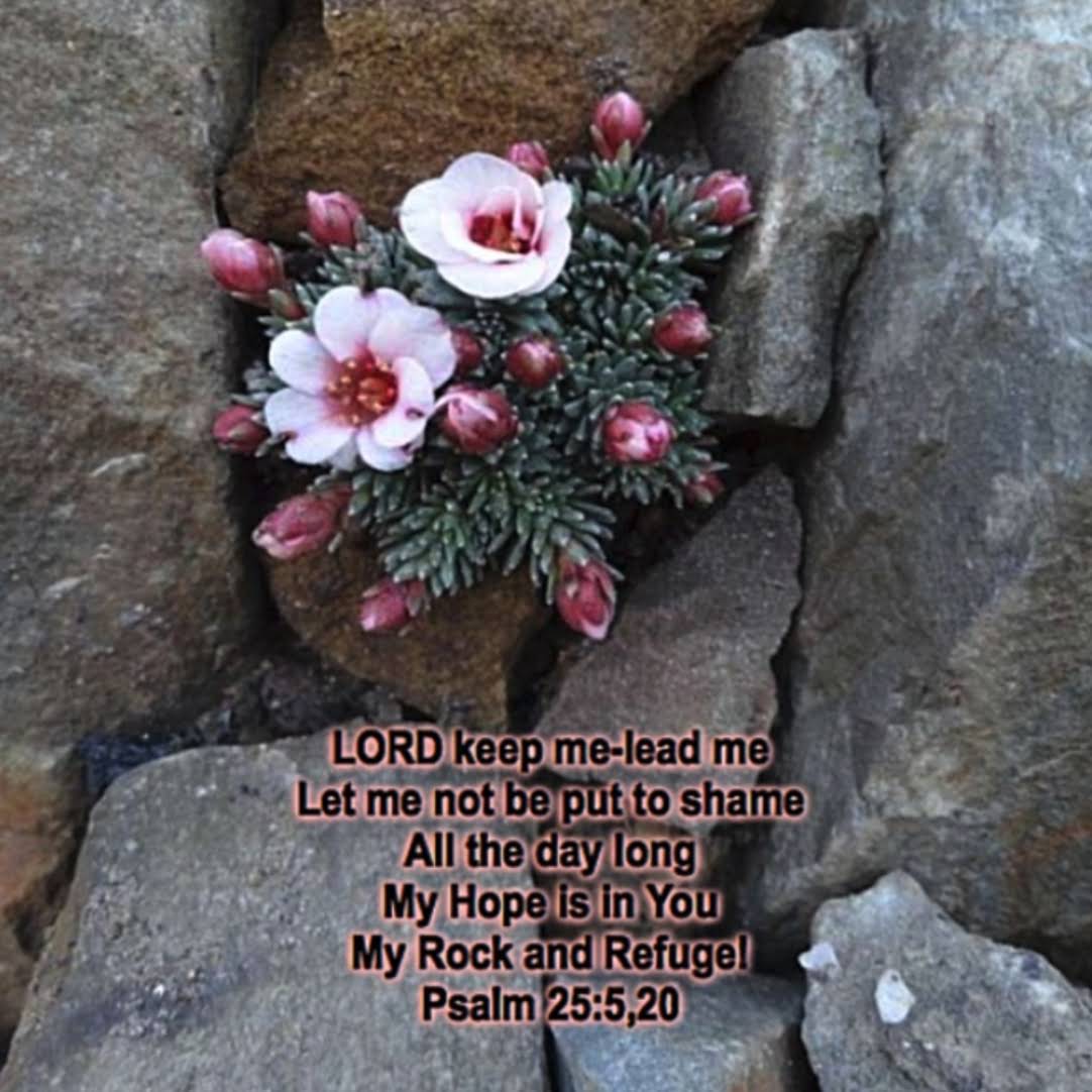 Post from Keri Christ Follower