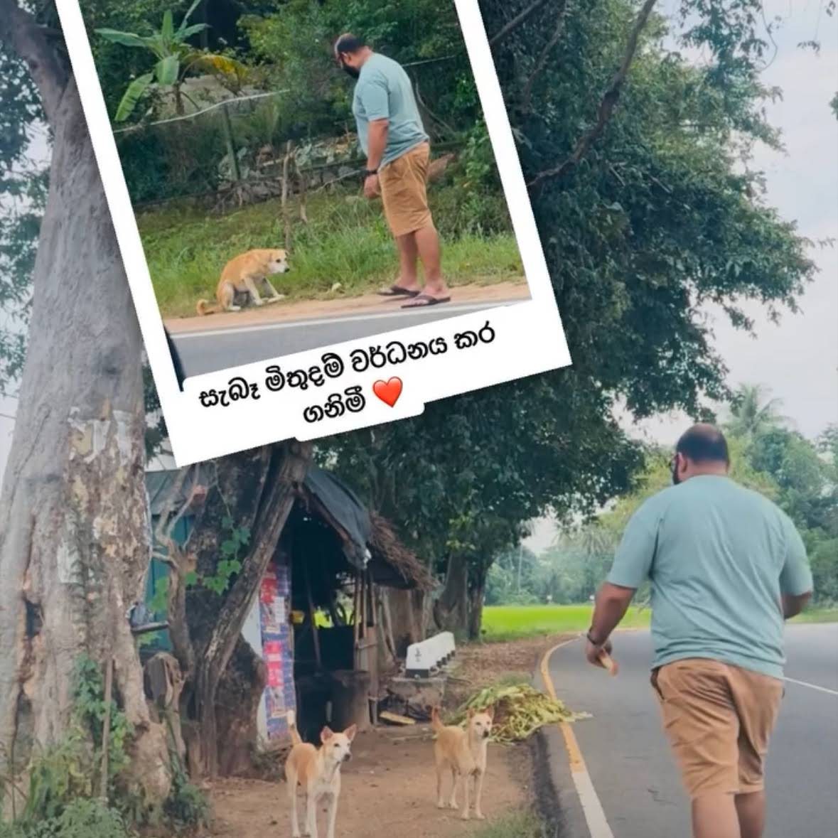 Post from Samitha Dilshan