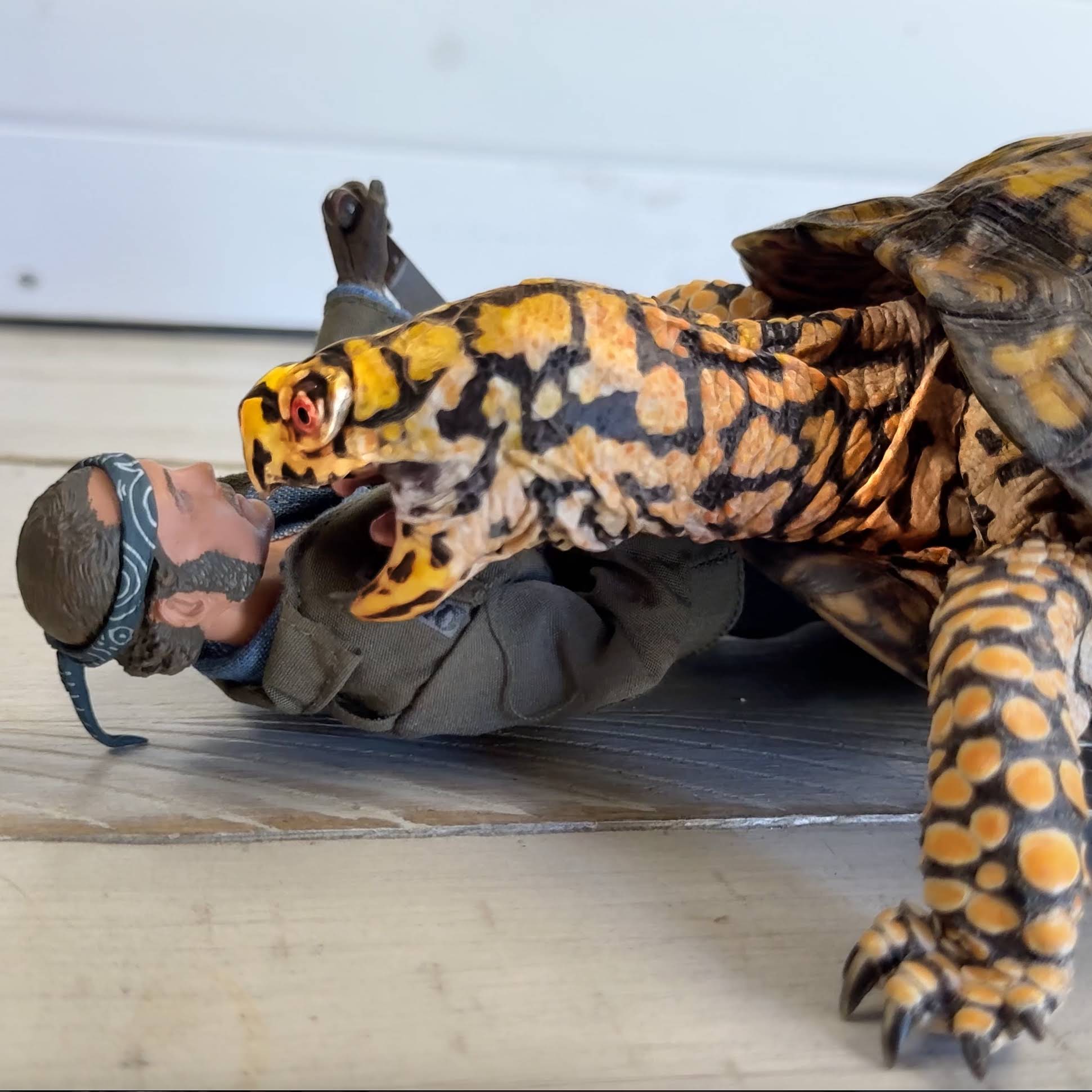 Post from Garden State Tortoise