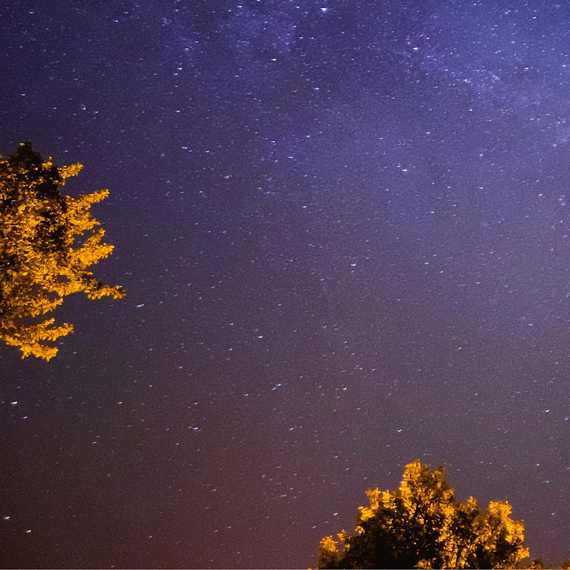 人気YouTuber、Mr. Reddito Animatedの総収入がすごい！？その収益を年収・時給まで徹底分析！