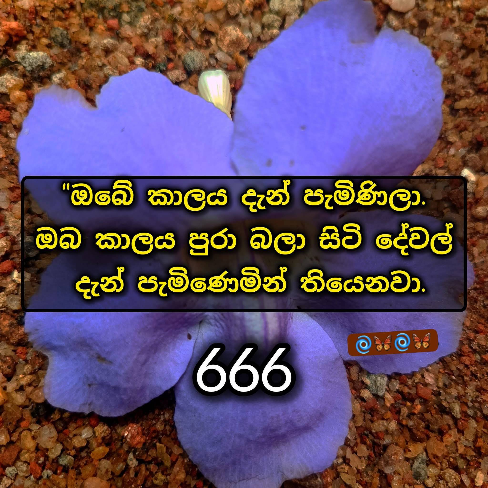 Post from Ayale 1111