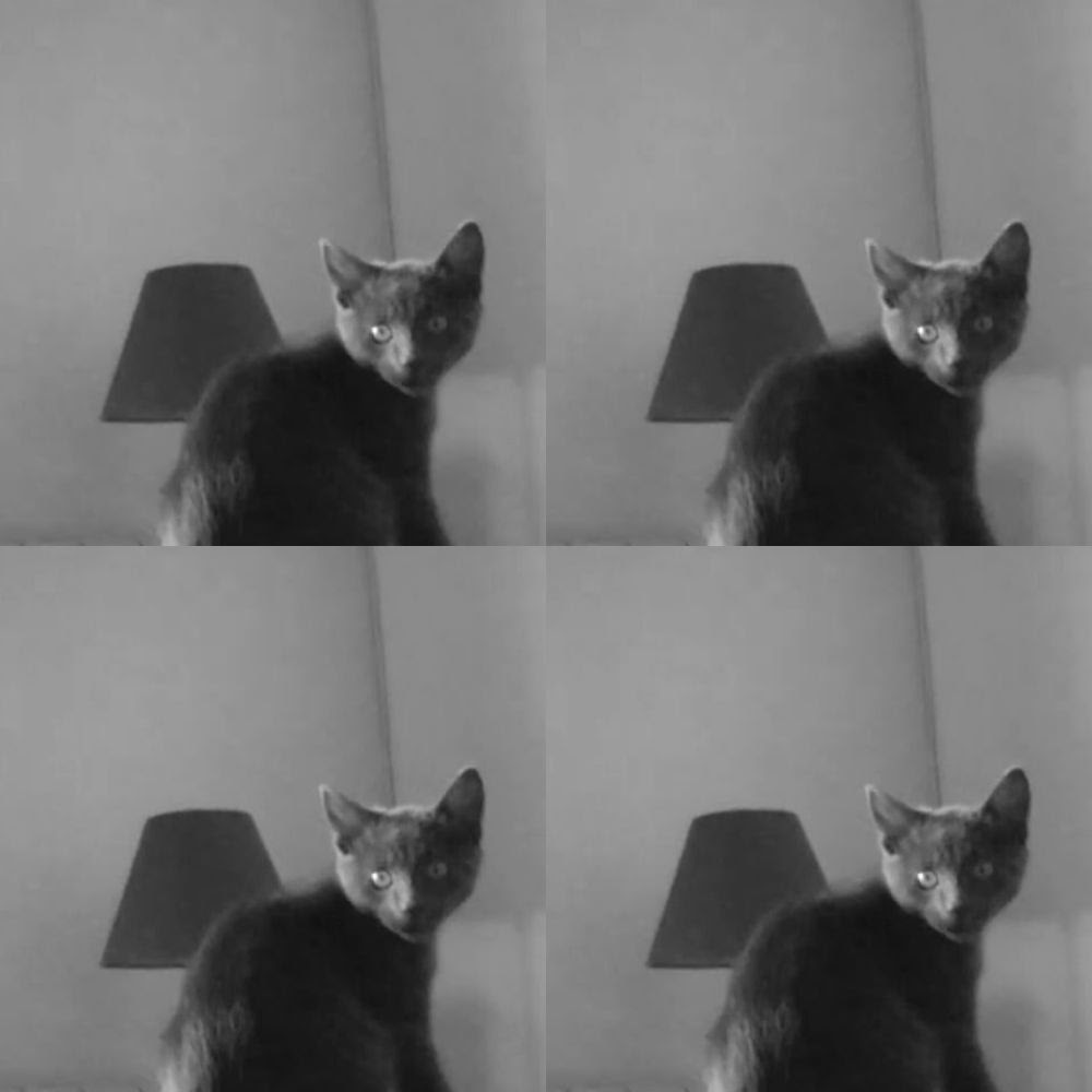 Babi todas las canciones y covers