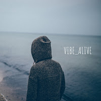 Poll from vibe alive