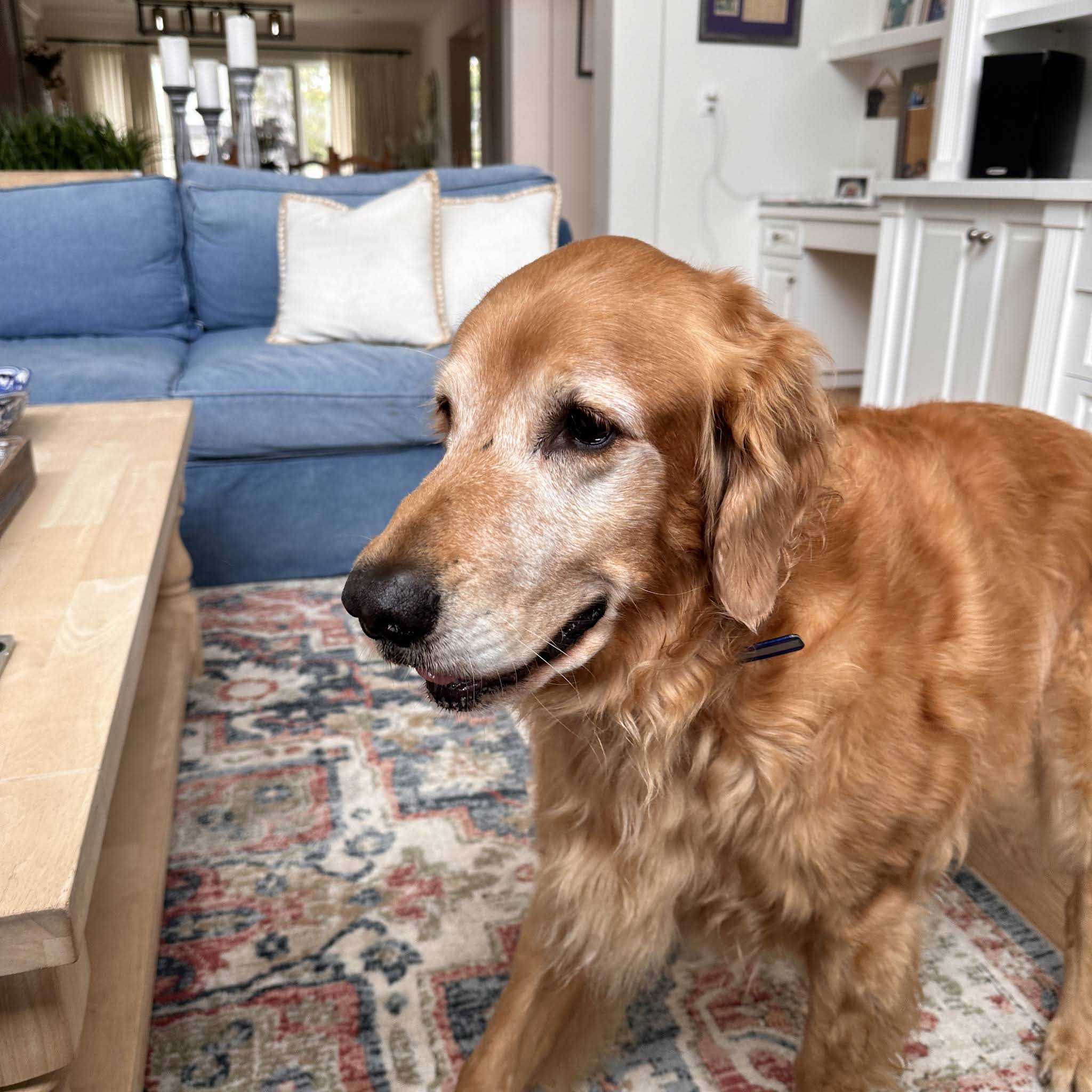 Post from Grayson Brock