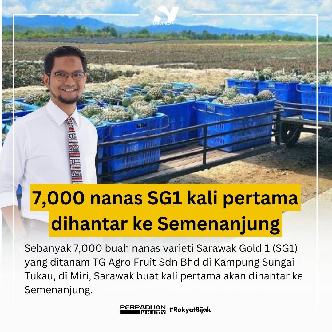 Post from Saiful Nizam