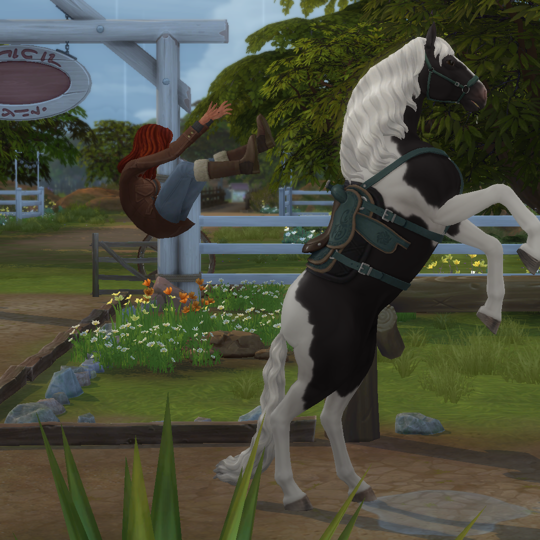 Post from Syldavia_syl