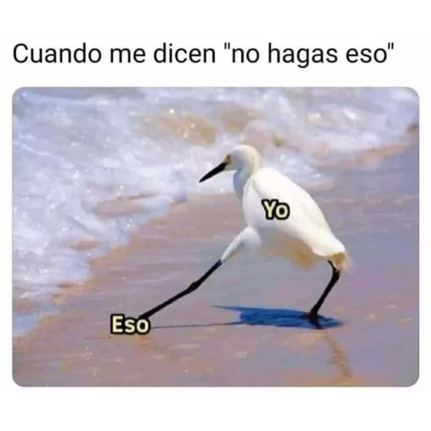 Post from SnowFlake Freak