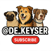Post from DEKEYSER