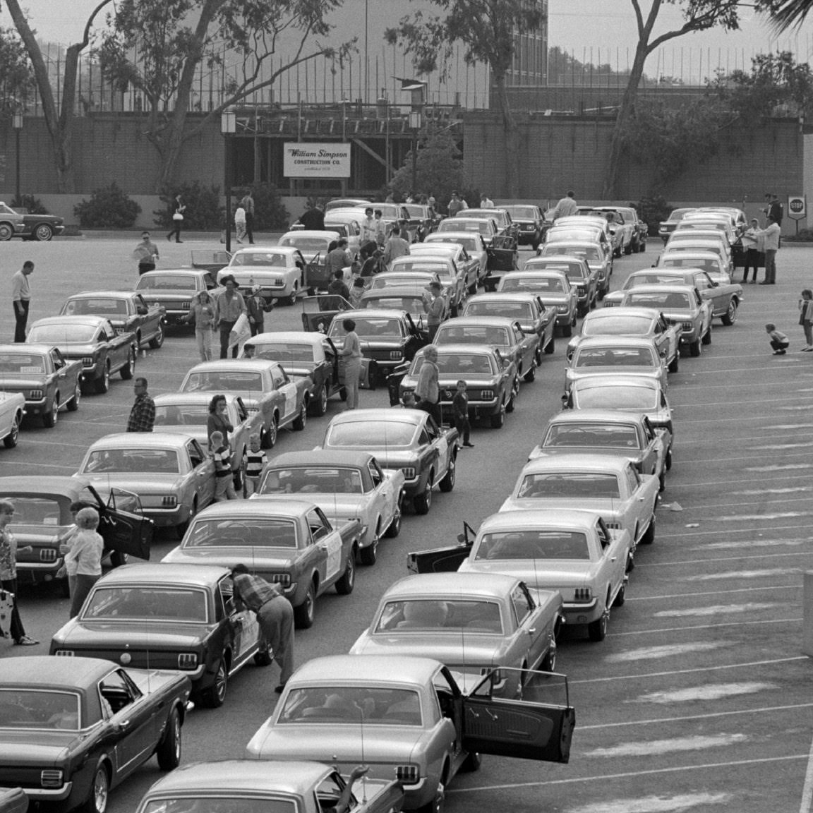 Post from Tony's Fords and Mustangs