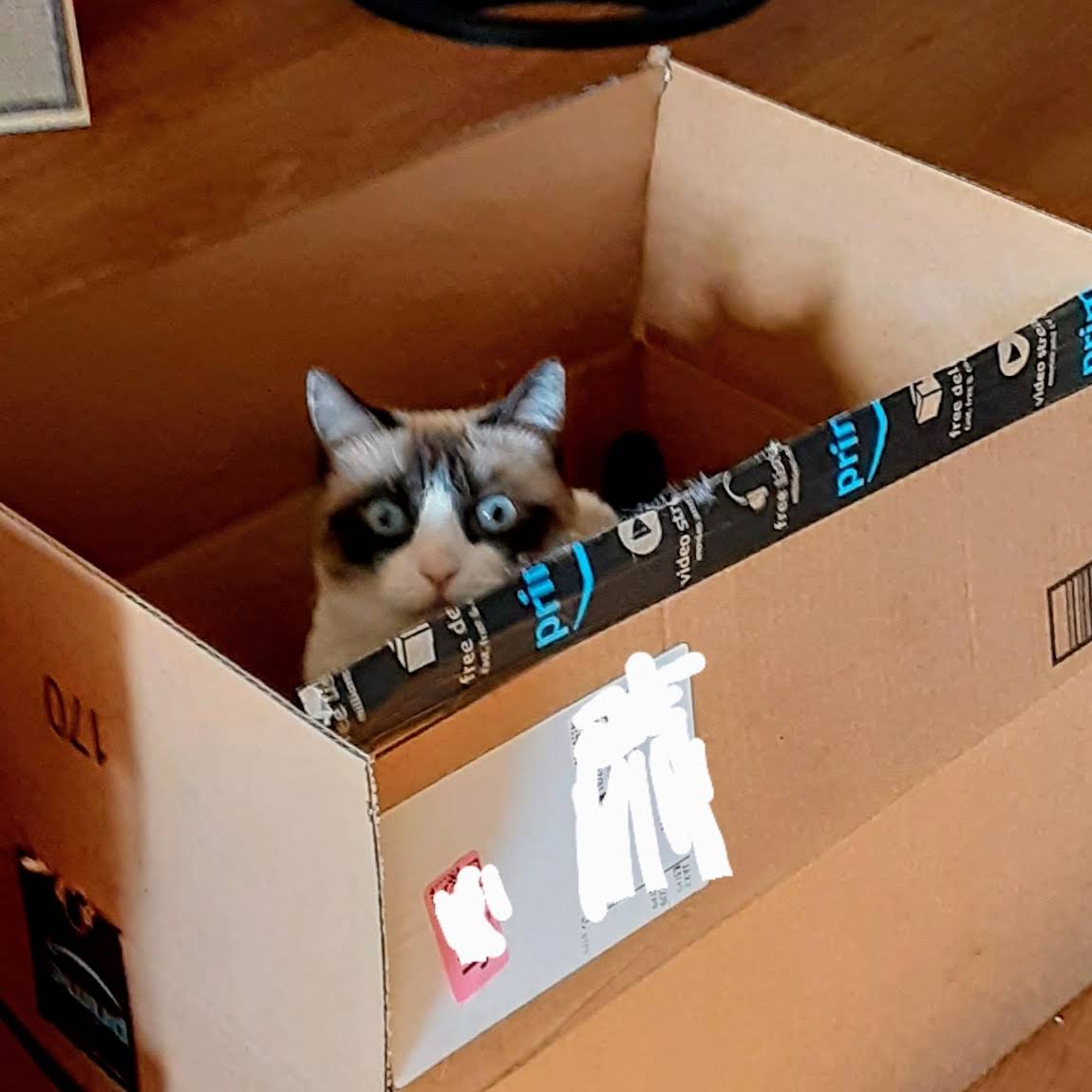 Post from Remy boy and his Mommy