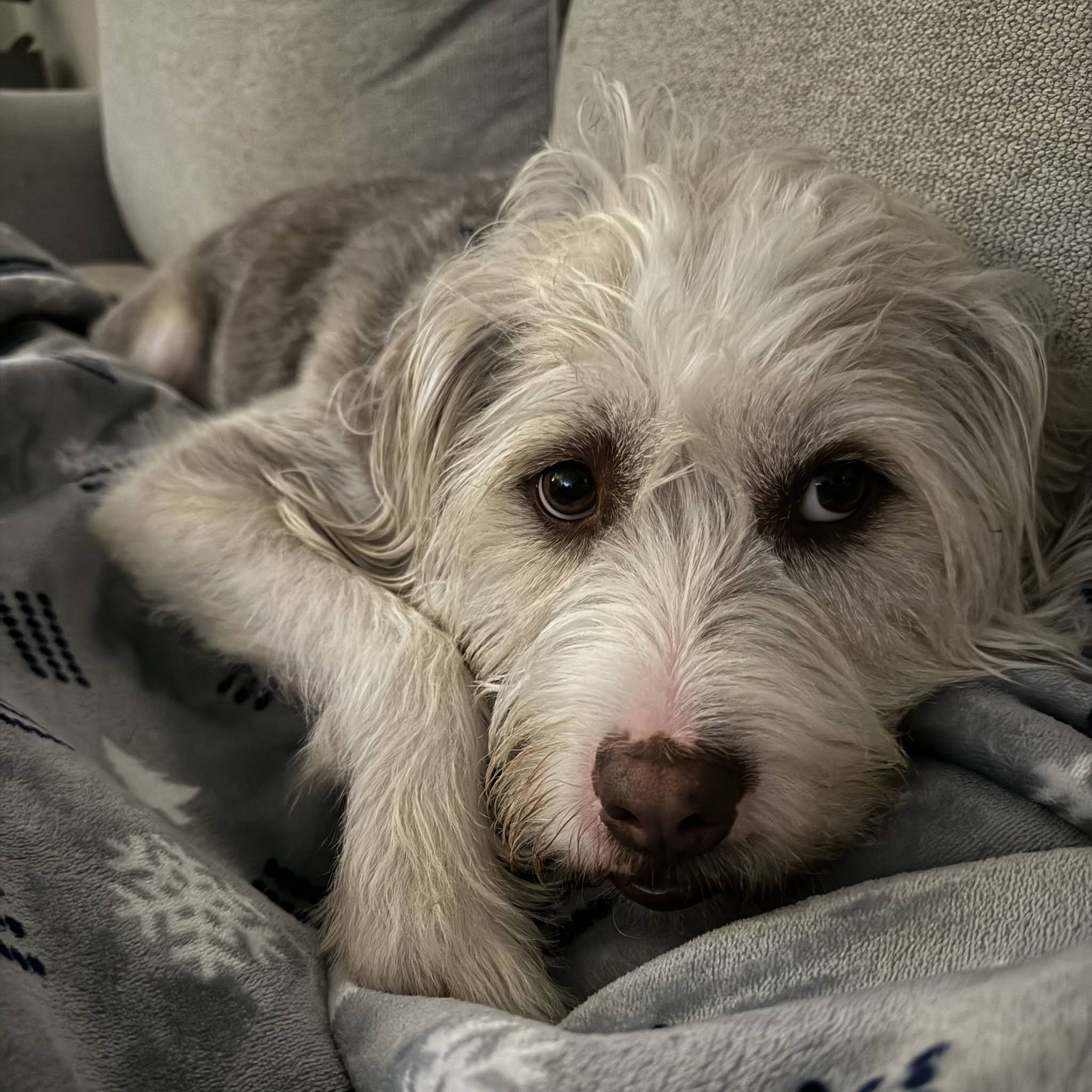 Post from Adventuring with Archie