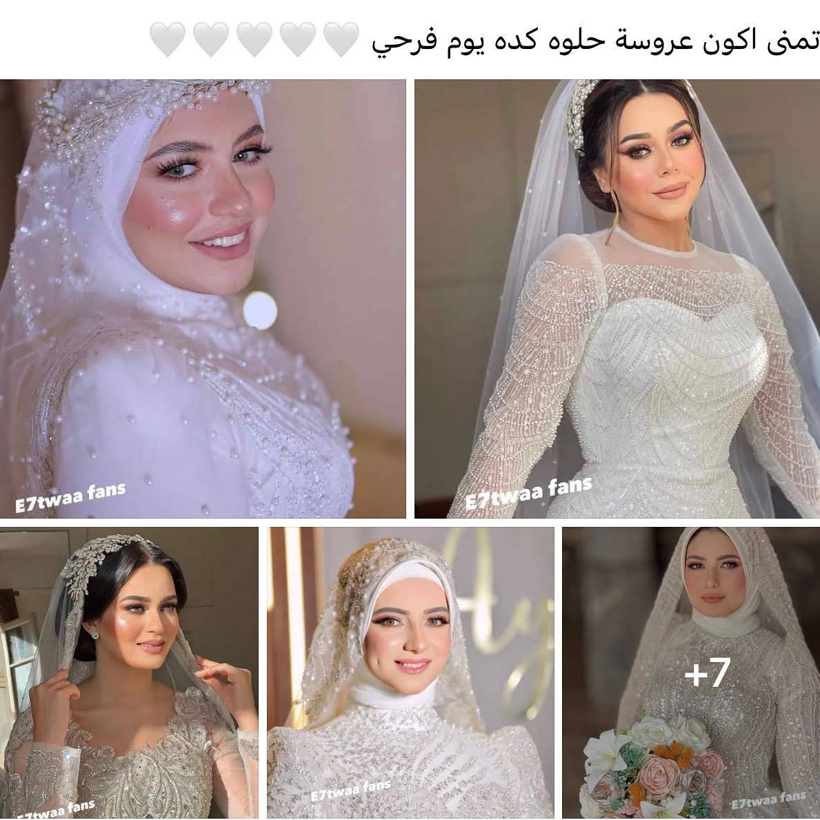 Post from mostafa ayad Photographer