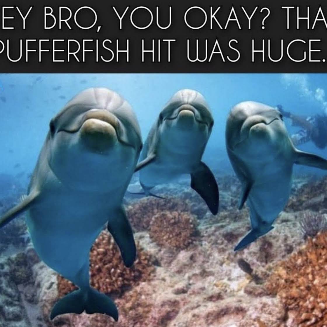 Post from Lessons in Meme Culture