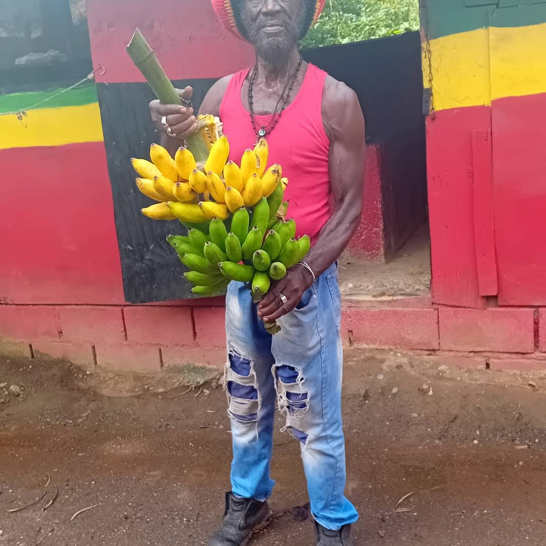 Post from Rasta Mokko Cool Vibz