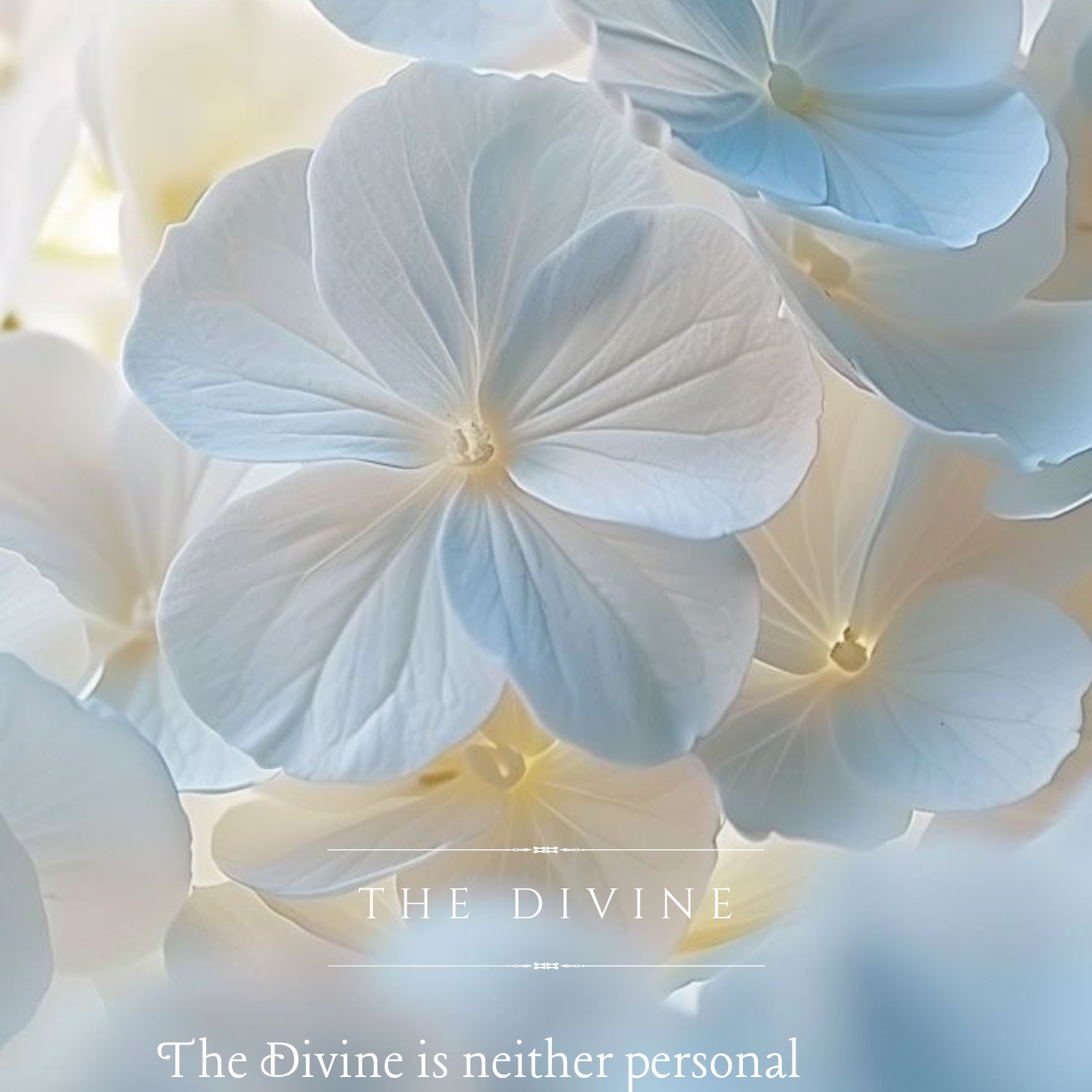 Post from Arvind T Akki Sri Aurobindo Ashram, Pondicherry