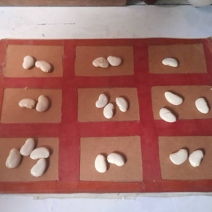 Post from Mystic Moonbeam Tarot