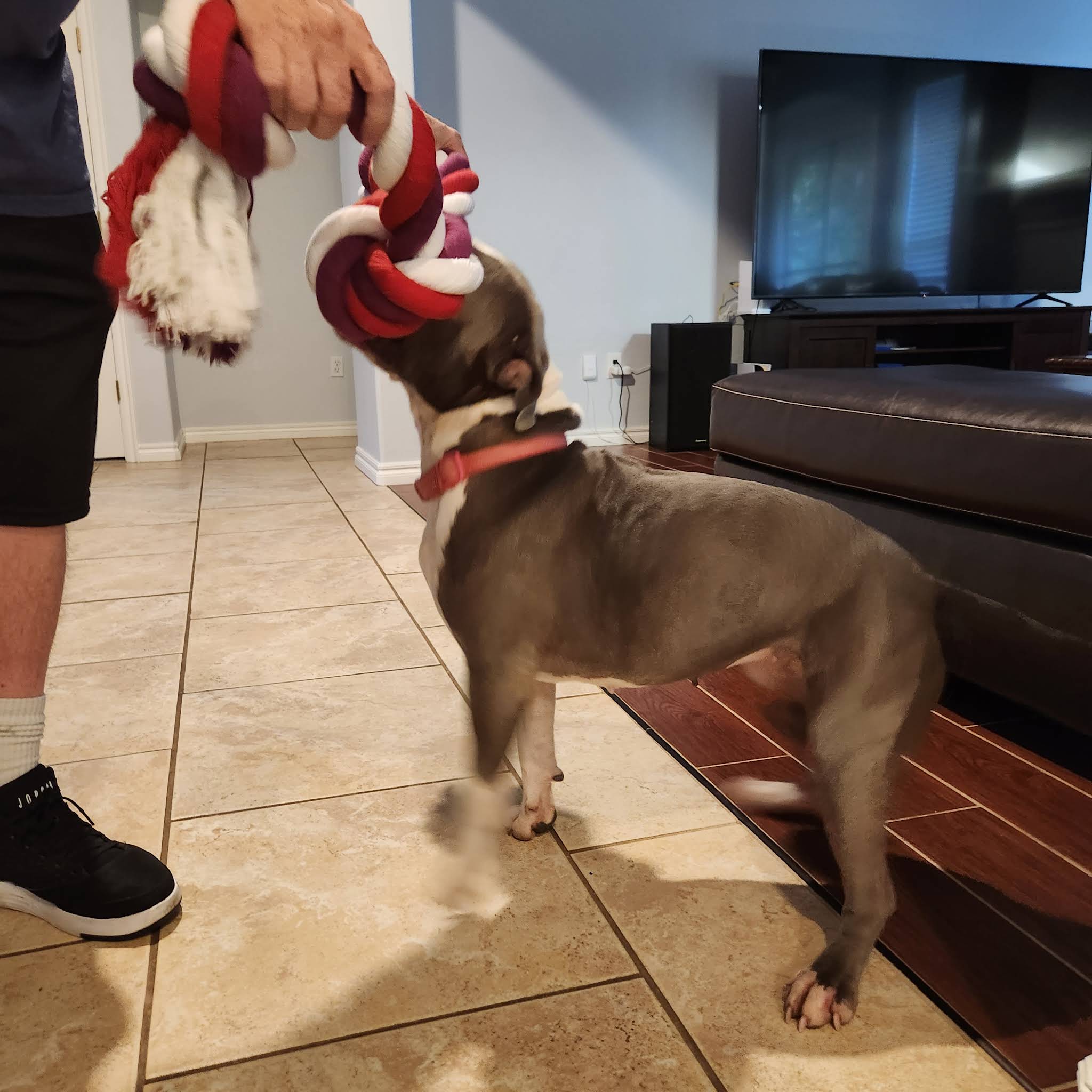 Post from RavenHawk Coins