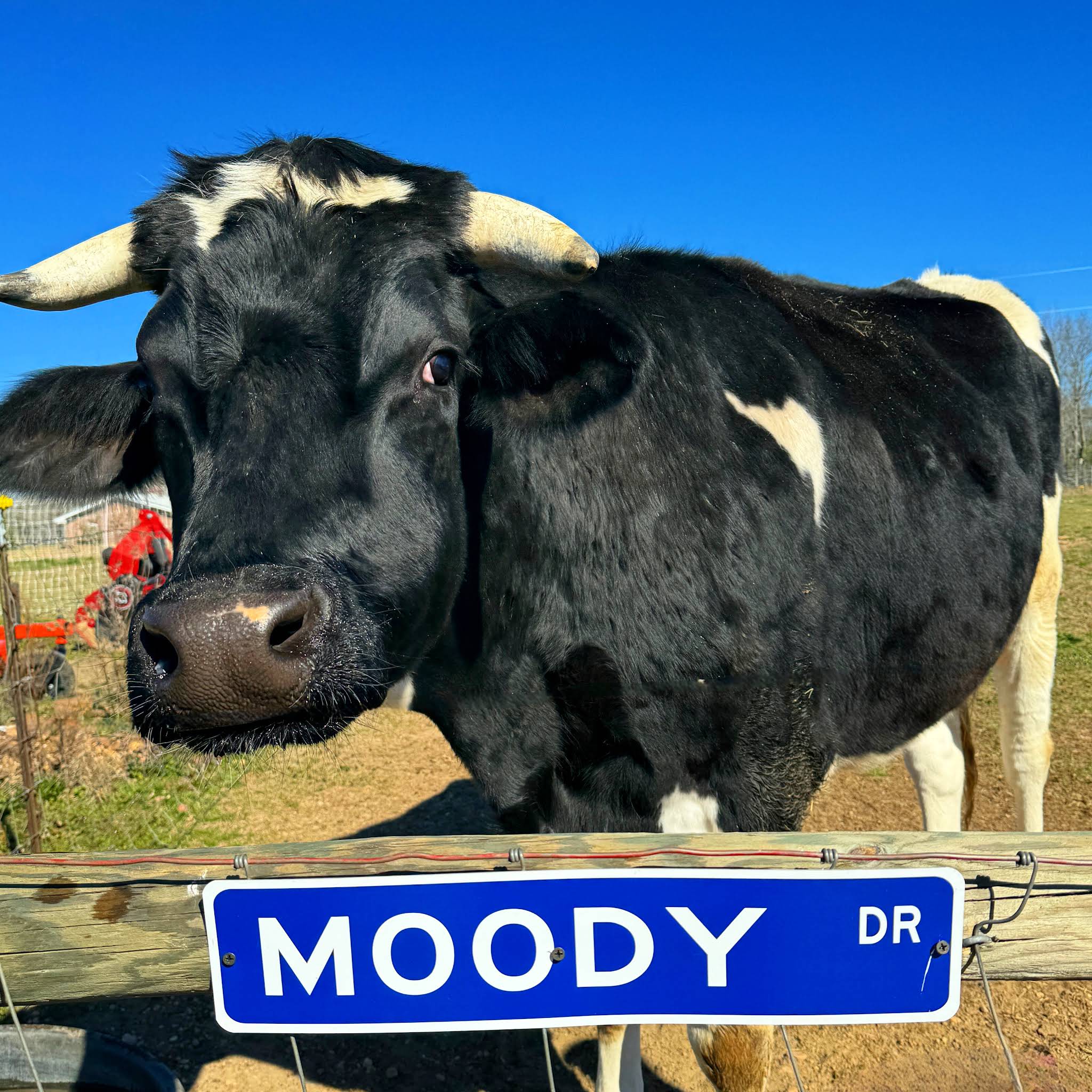 Post from Cog Hill Family Farm