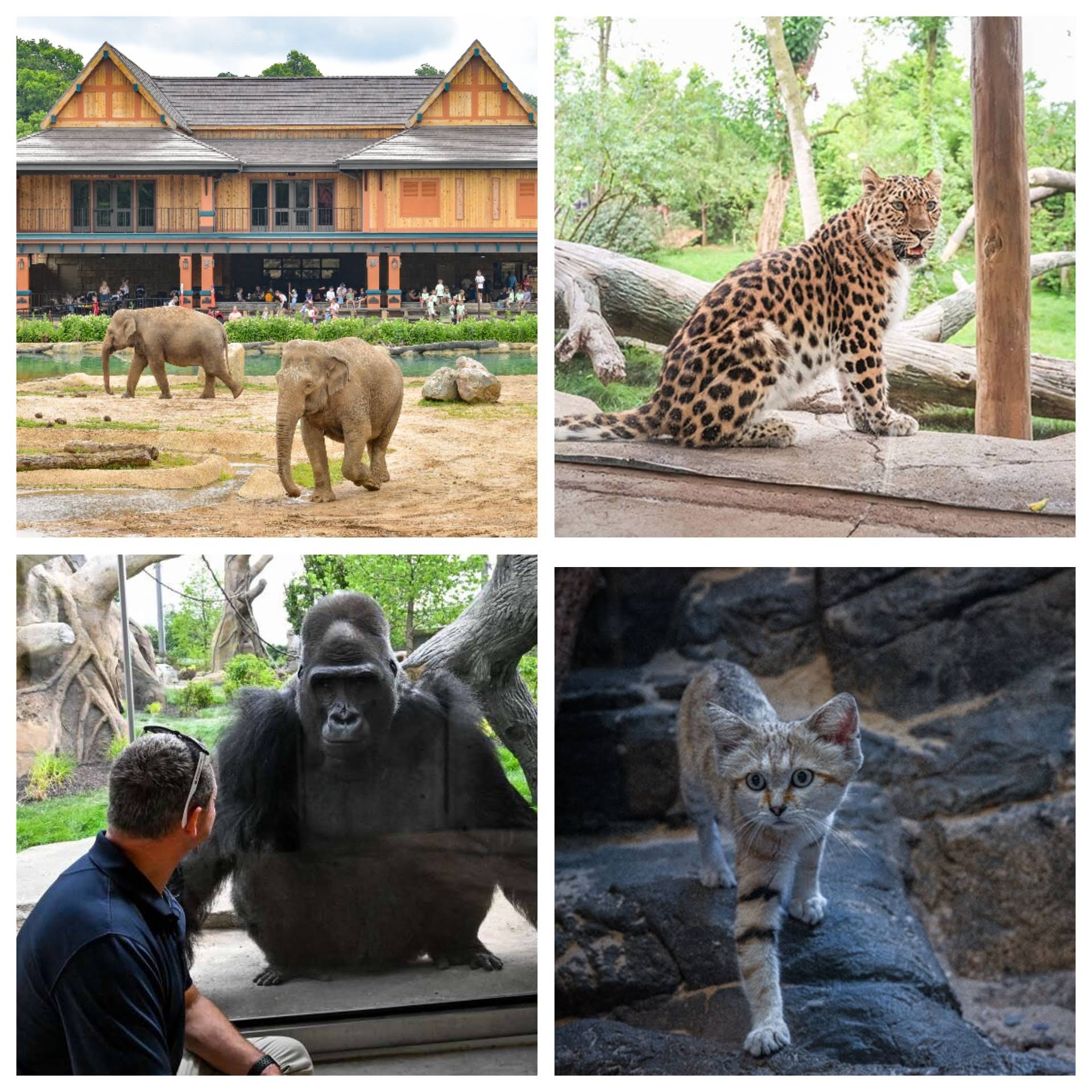 Post from Zoo Tours