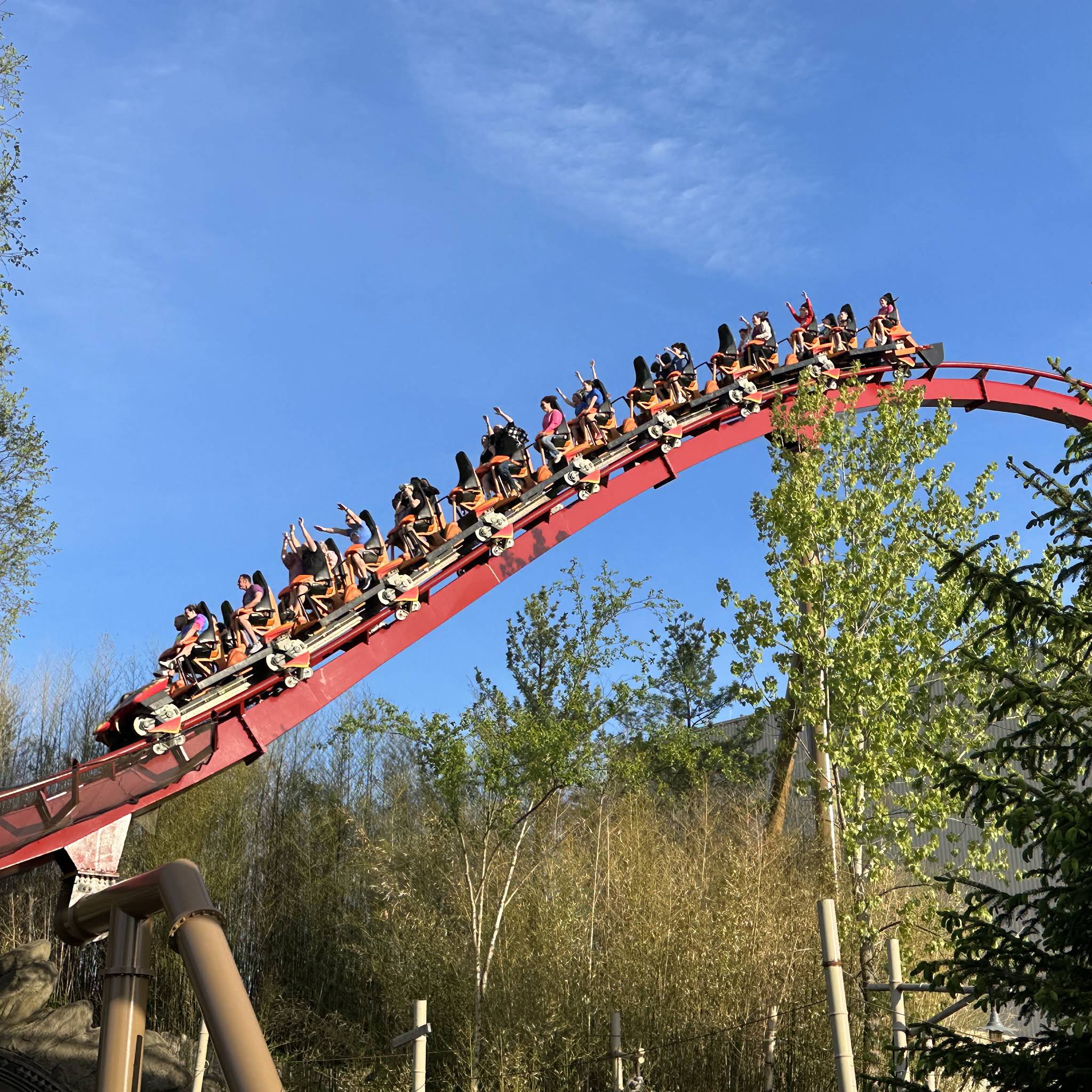 Post from Theme Park Brandon