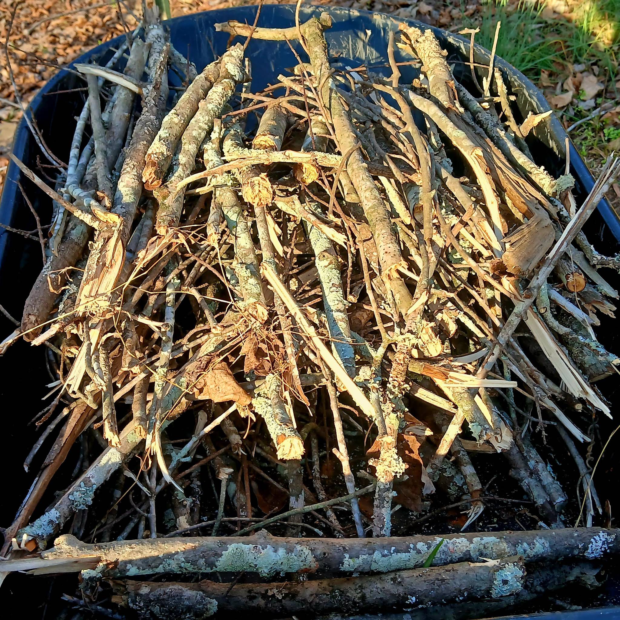 Post from Modern Frontiersman
