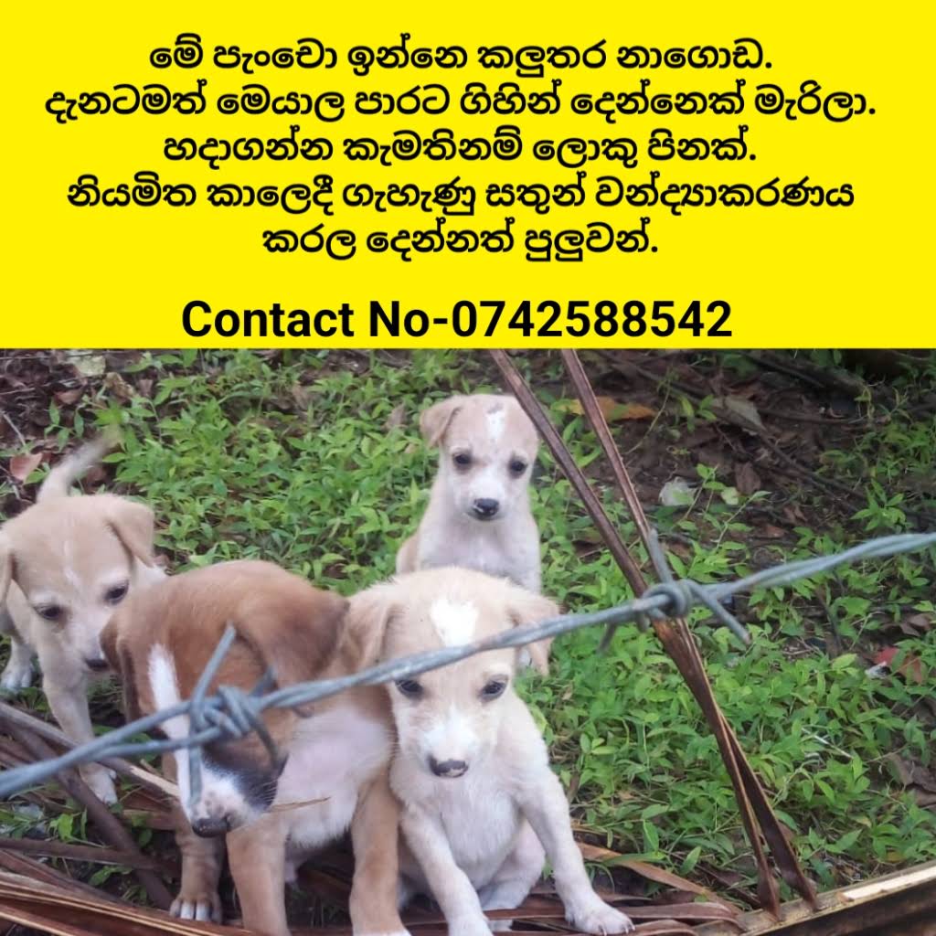 Post from DARSH & MARSH