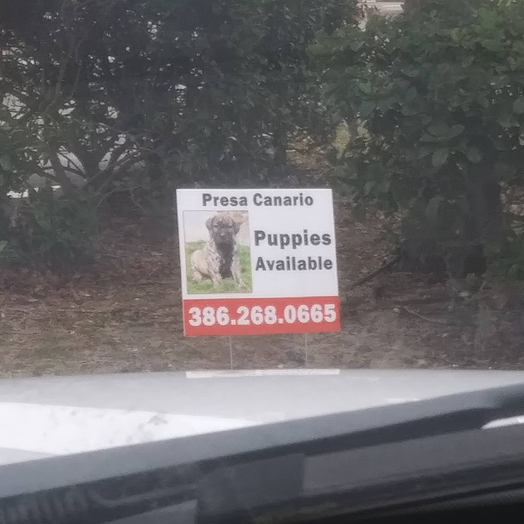 Post from Animal Uncontrol